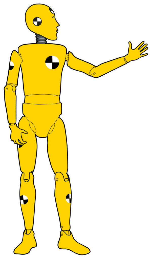 Name The Dummy Competition | Beaulieu, New Forest