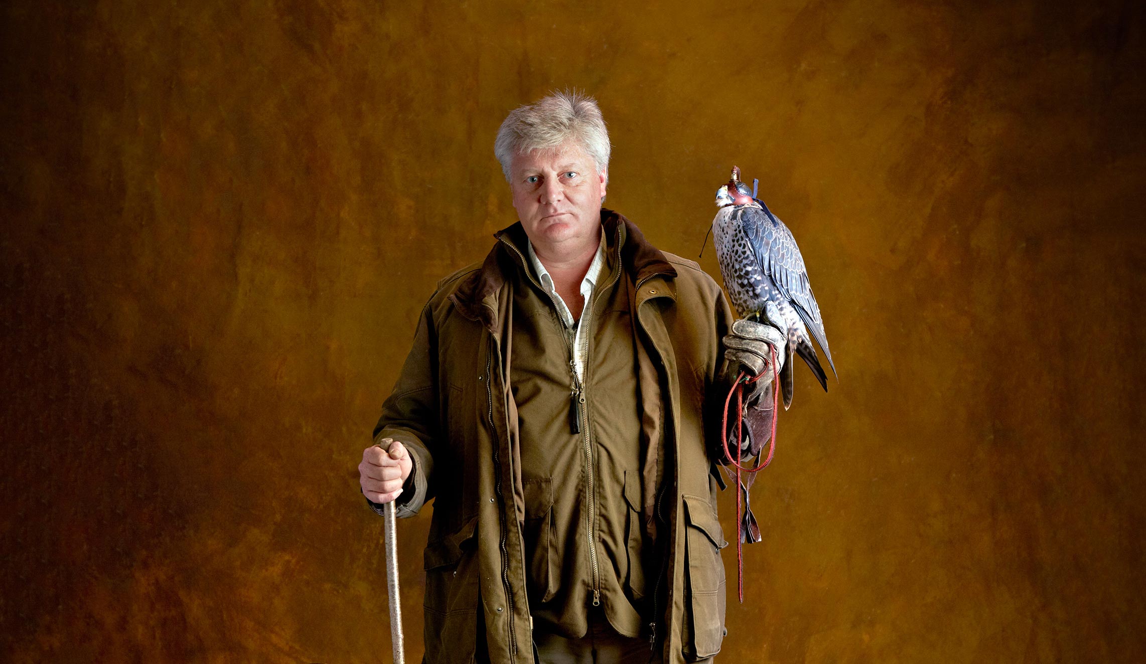 Lord Montagu appoints first falconer in centuries for new exhibition