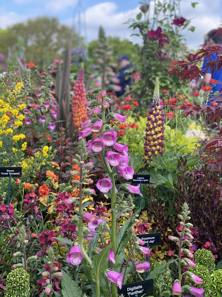 2023 dates announced for vibrant events at Beaulieu