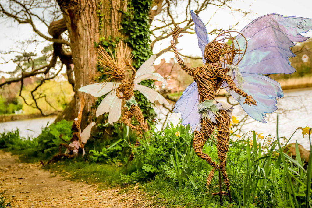 New for 2024: Beaulieu Unveils Enchanted Fairy and Dragon Willow ...