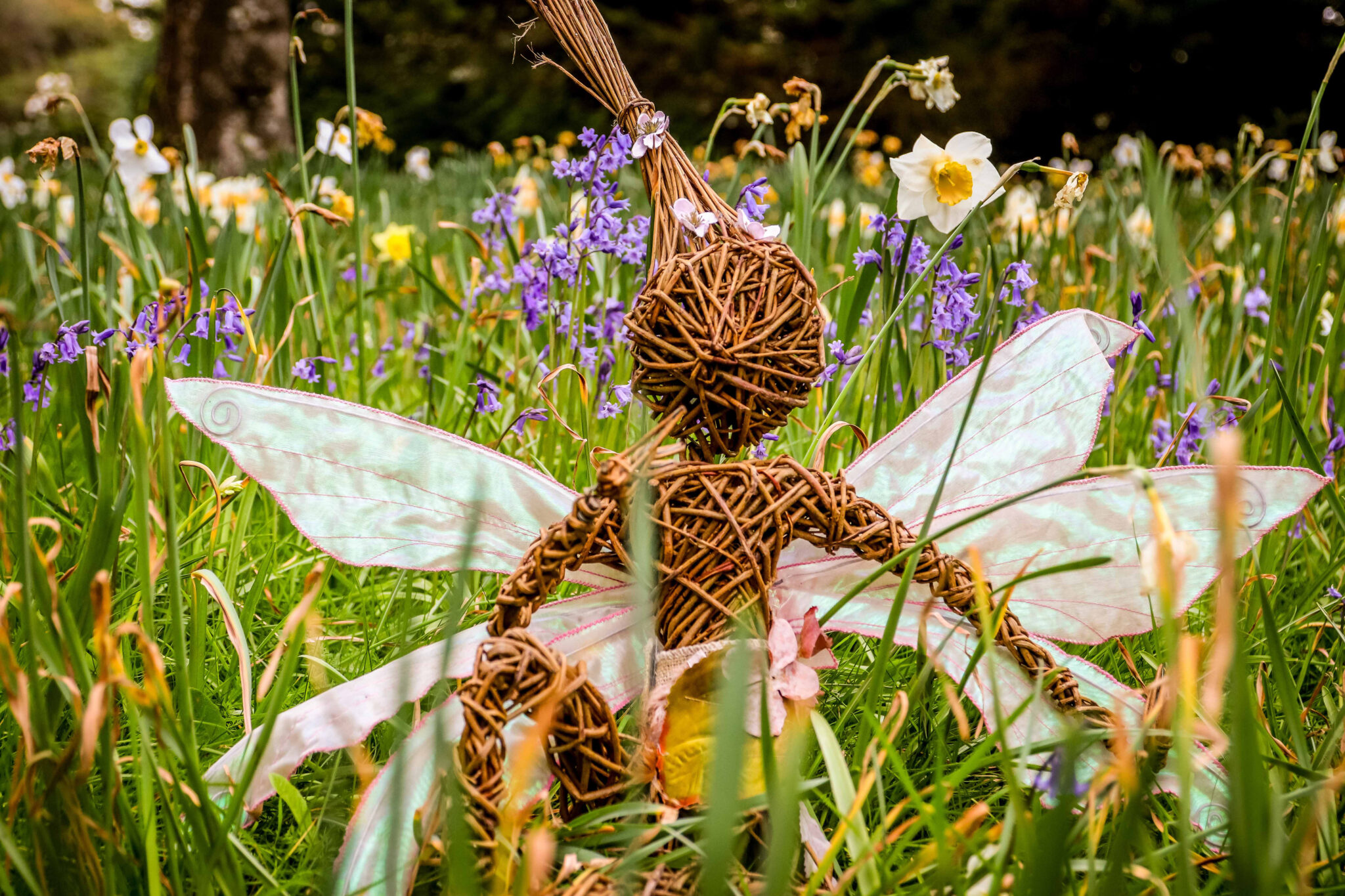 New for 2024: Beaulieu Unveils Enchanted Fairy and Dragon Willow ...
