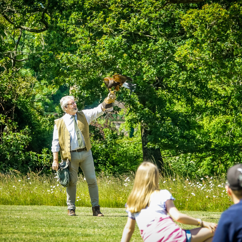 An action-packed May half-term with all-new Fairy and Dragon trail at ...