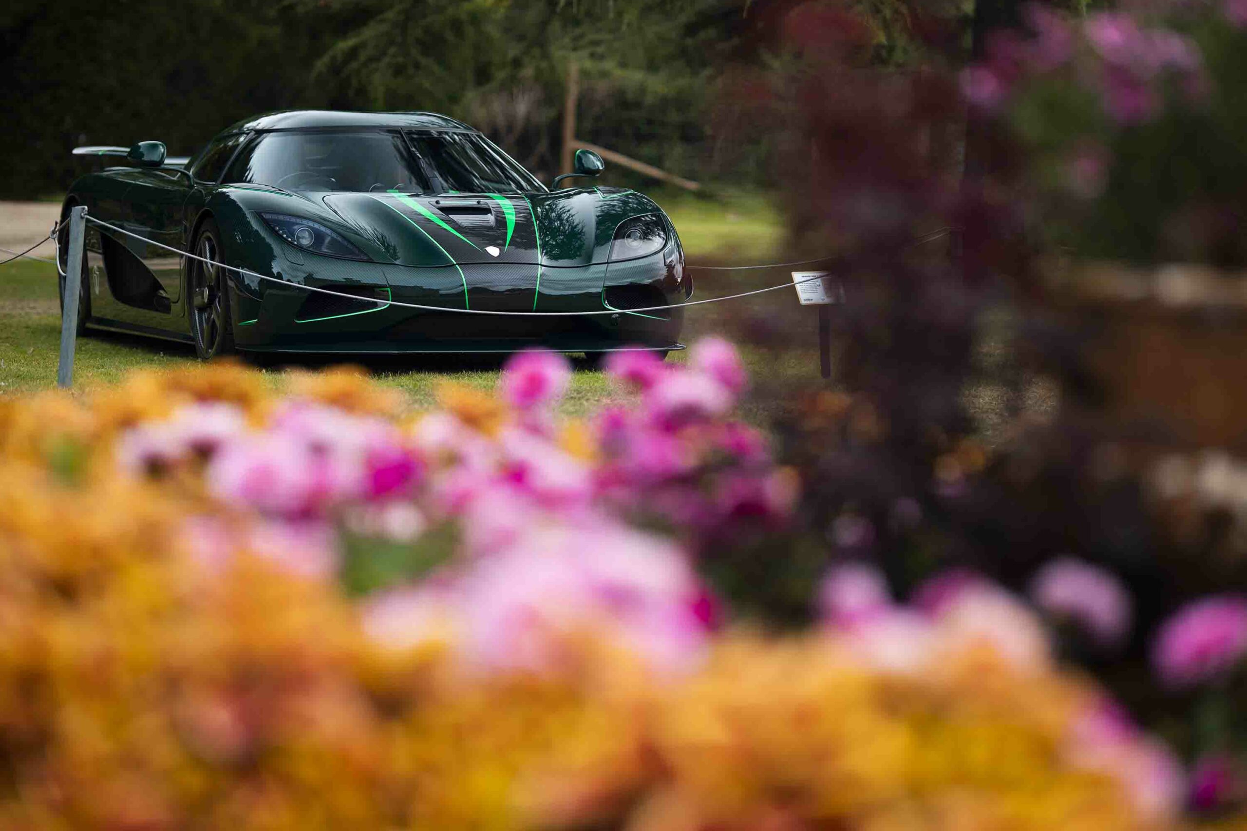 Supercar Gallery - Beaulieu