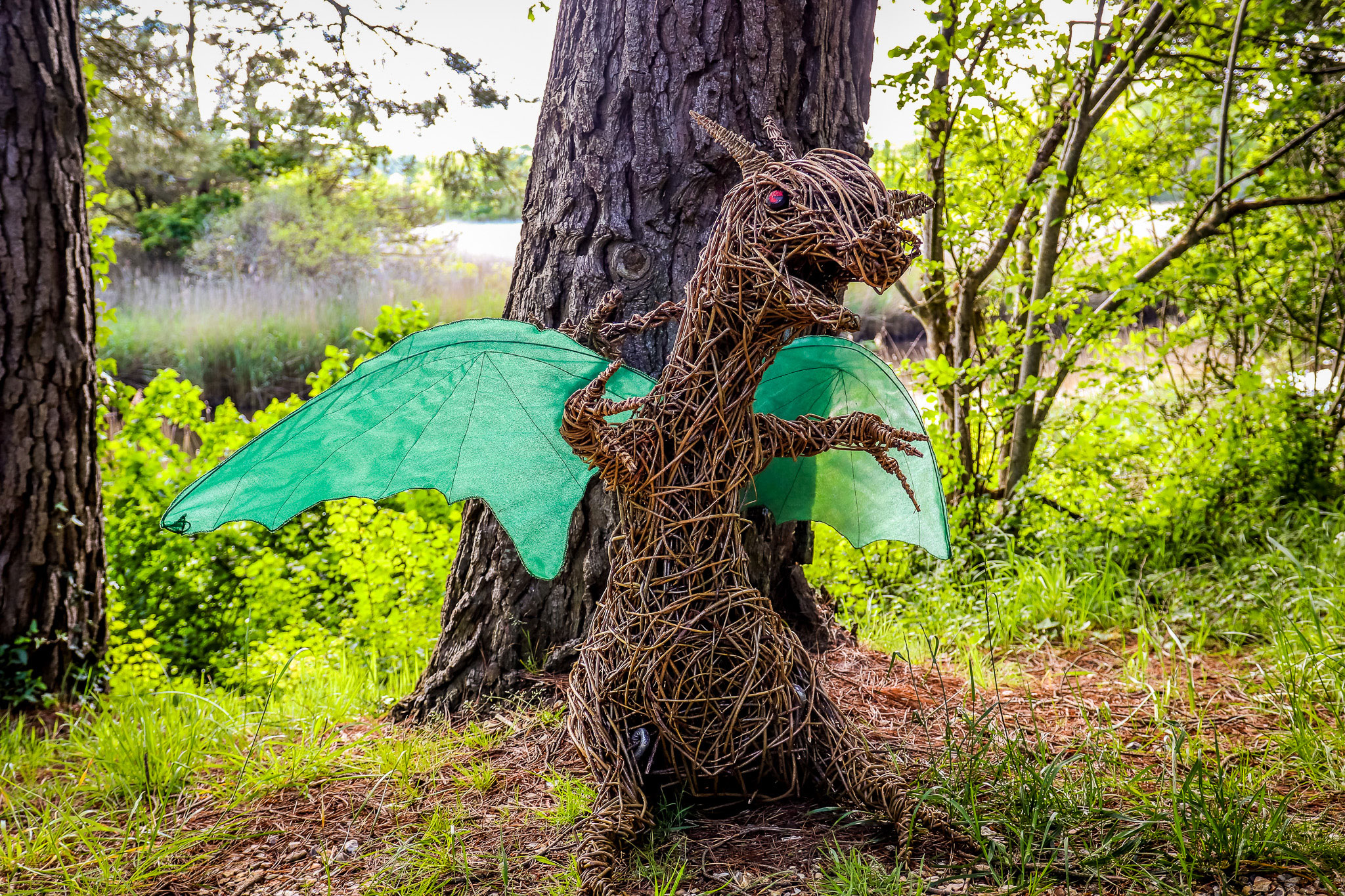 Uncover the history of New Forest Folklore in Beaulieu’s new Enchanting ...